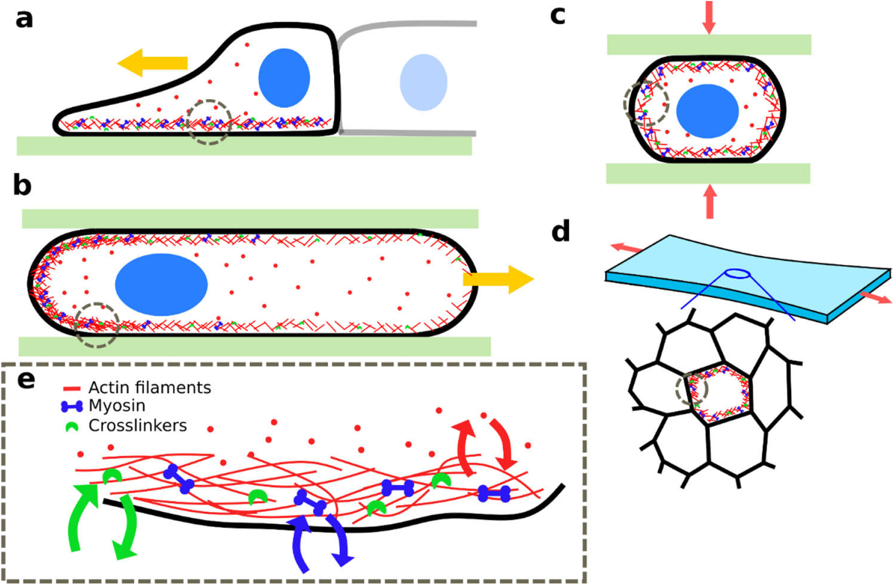 The 2020 motile active matter roadmap - IOPscience