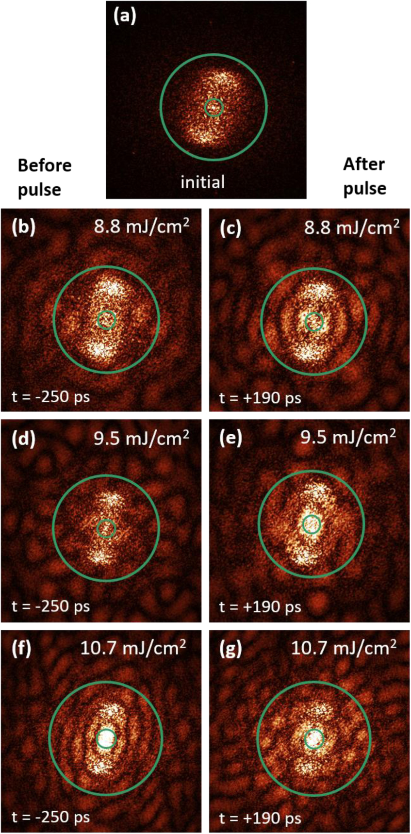 A local view of the laser induced magnetic domain dynamics in CoPd ...