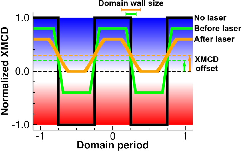 A local view of the laser induced magnetic domain dynamics in CoPd ...
