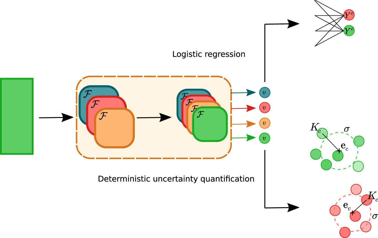 Interpretable, calibrated neural networks for analysis and ...