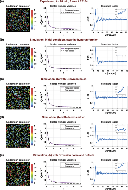 Dynamic evolution of hyperuniformity in a driven dissipative colloidal ...