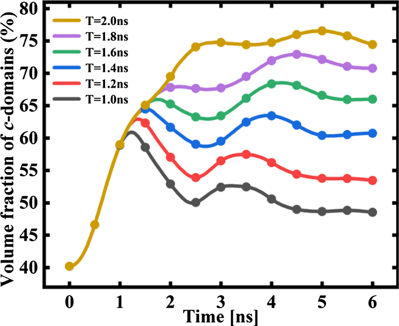 Study on the phase transition dynamics of HfO2-based ferroelectric ...