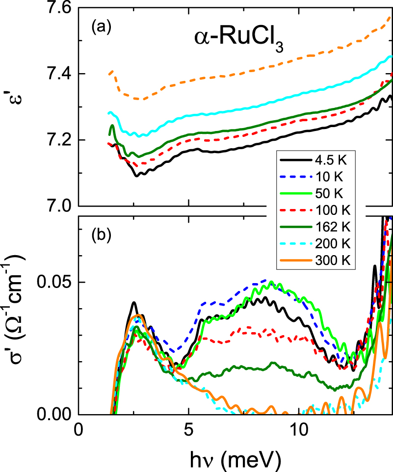 On the proximate Kitaev quantum-spin liquid α-RuCl3: thermodynamics ...
