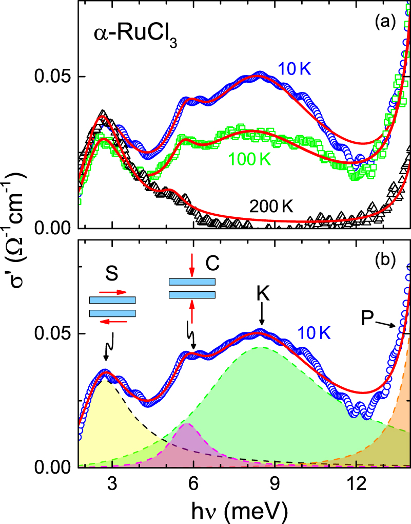 On the proximate Kitaev quantum-spin liquid α-RuCl3: thermodynamics ...