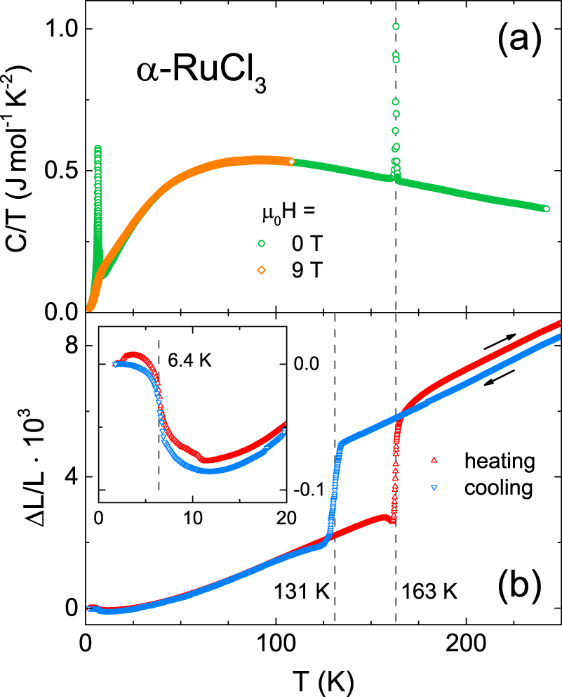 On the proximate Kitaev quantum-spin liquid α-RuCl3: thermodynamics ...