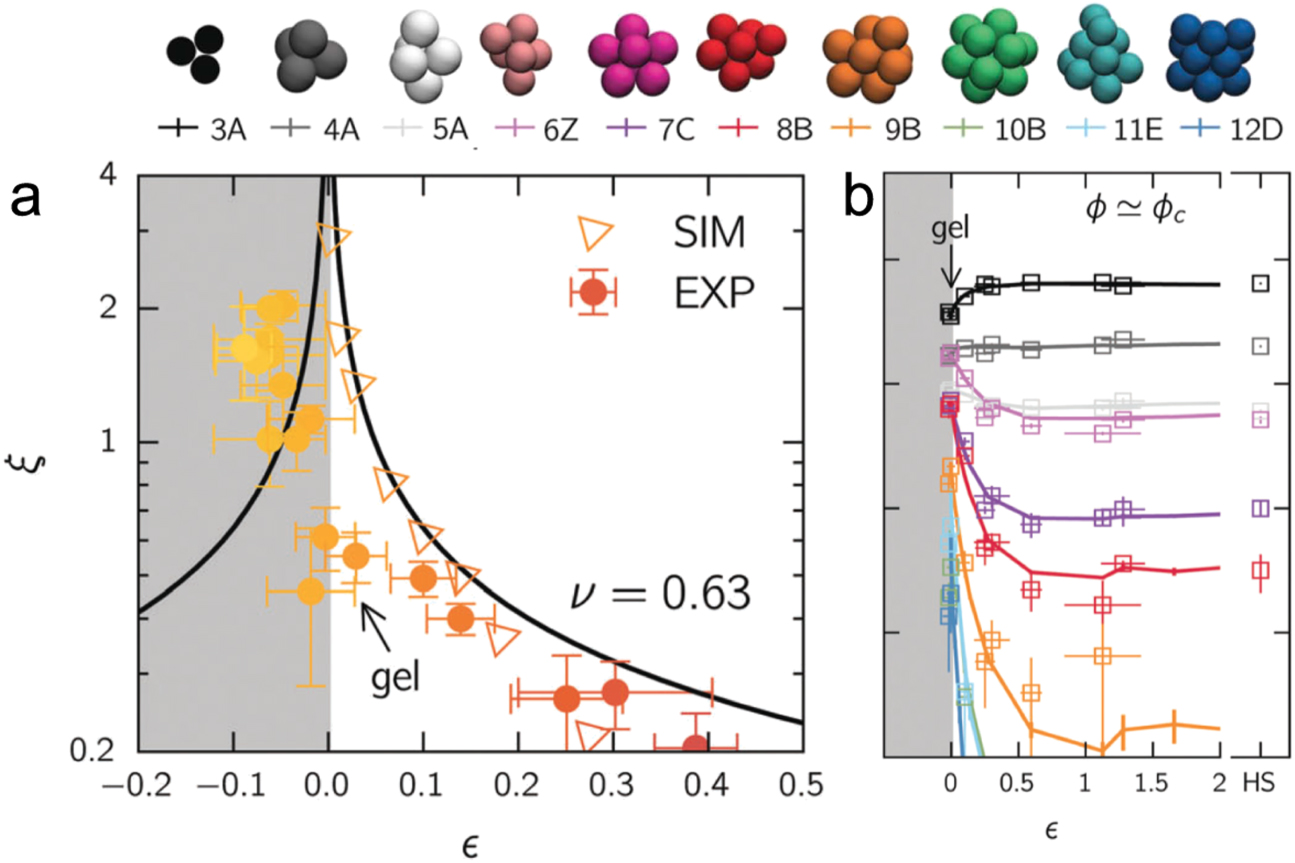 Real space analysis of colloidal gels: triumphs, challenges and future ...