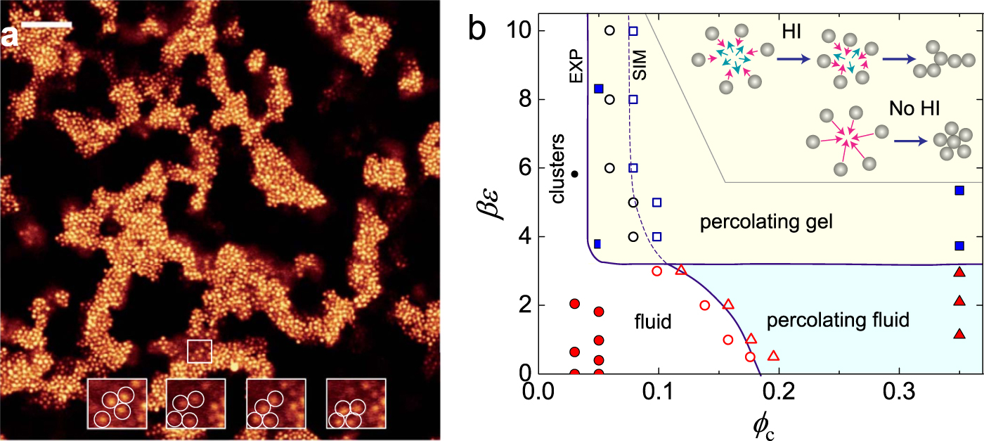 Real space analysis of colloidal gels: triumphs, challenges and future ...