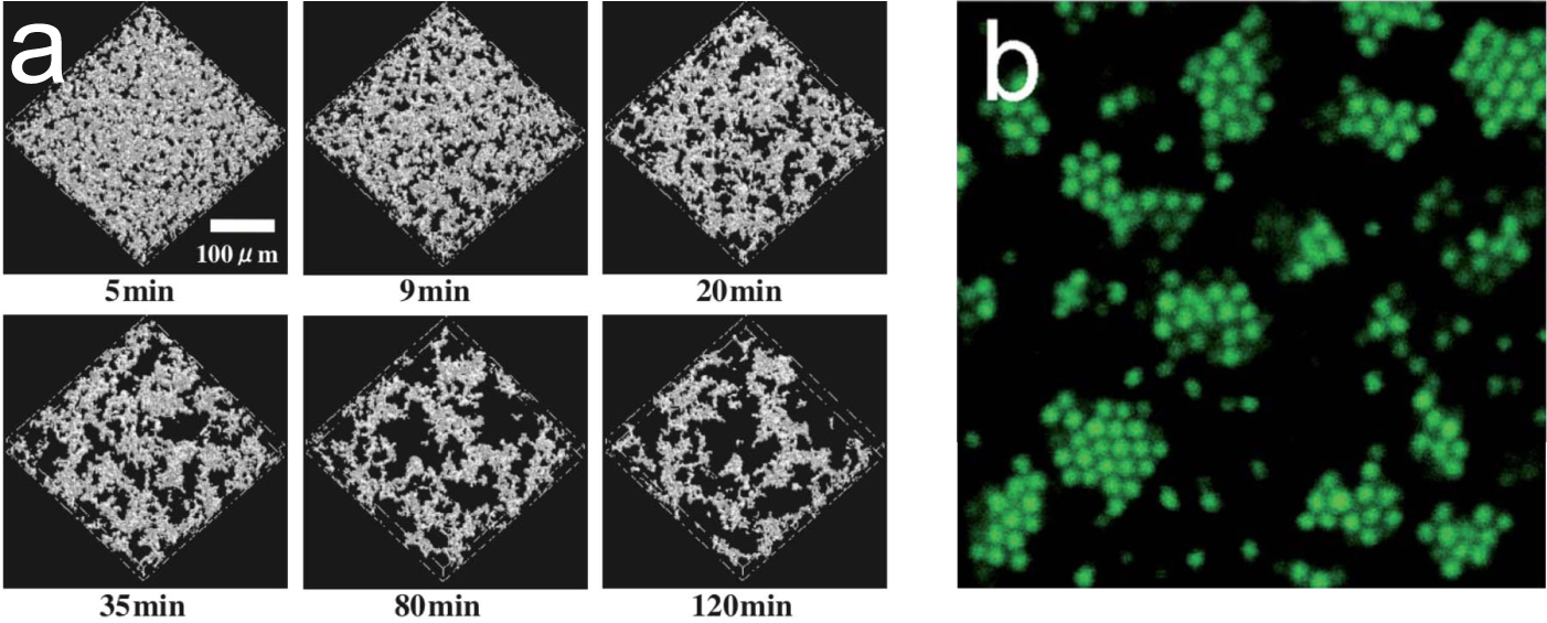 Real space analysis of colloidal gels: triumphs, challenges and future ...