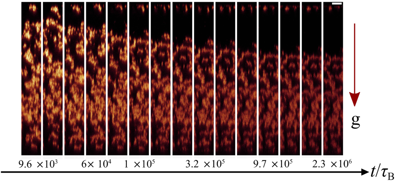Real space analysis of colloidal gels: triumphs, challenges and future ...