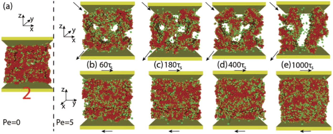 Real space analysis of colloidal gels: triumphs, challenges and future ...