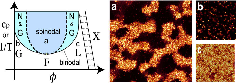 Real space analysis of colloidal gels: triumphs, challenges and future ...