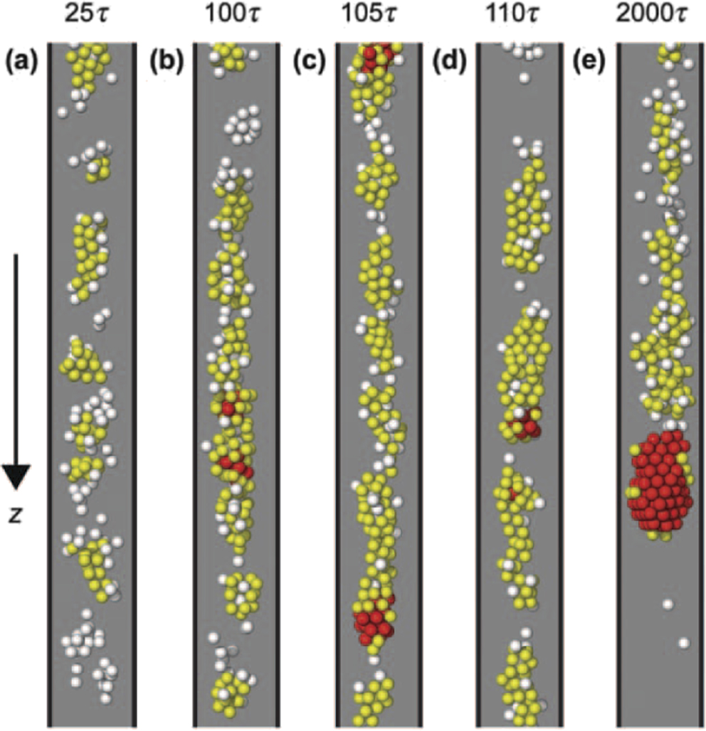 Real space analysis of colloidal gels: triumphs, challenges and future ...