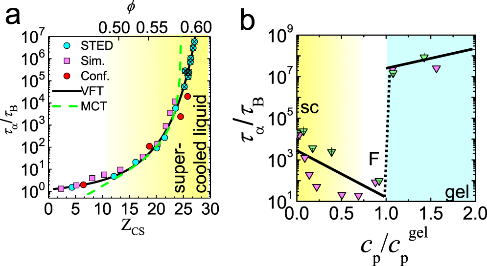 Real space analysis of colloidal gels: triumphs, challenges and future ...