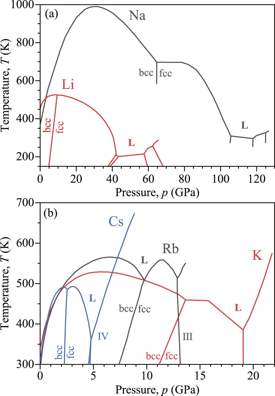 Liquid structure under extreme conditions: high-pressure x-ray ...