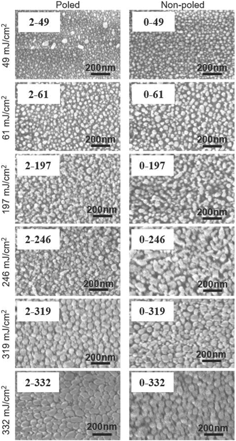 Controlled metallization of ion-exchanged glasses by thermal poling ...