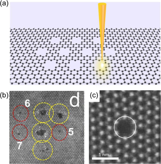 Electron beam triggered single-atom dynamics in two-dimensional ...