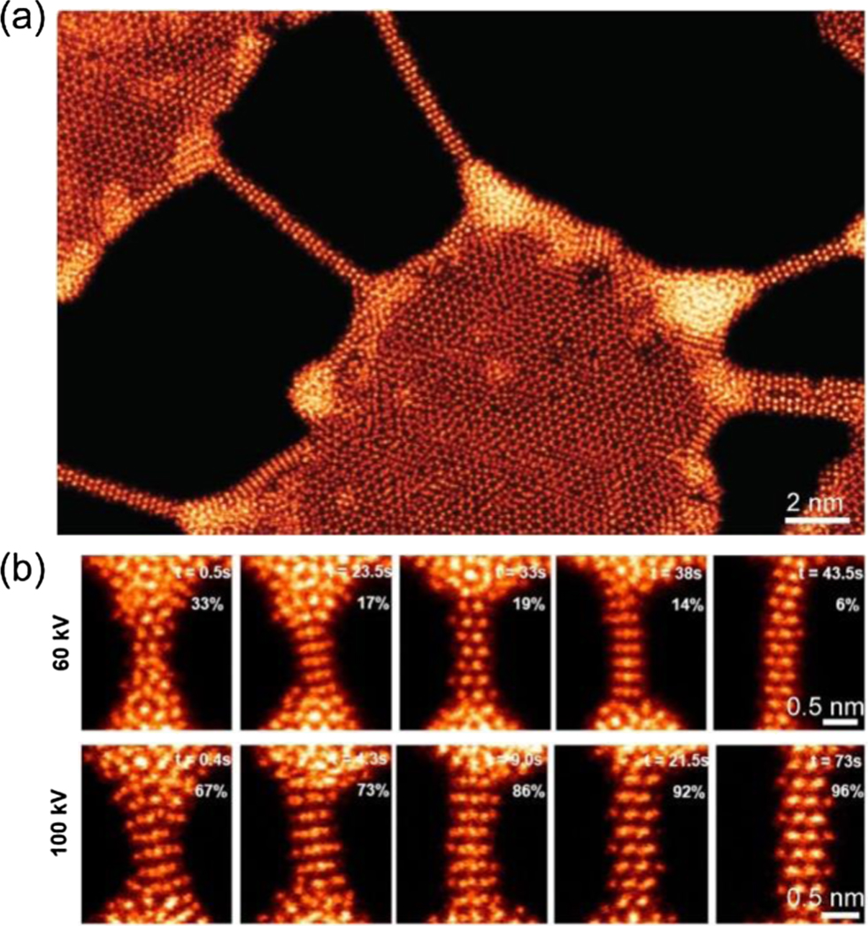 Electron beam triggered single-atom dynamics in two-dimensional ...