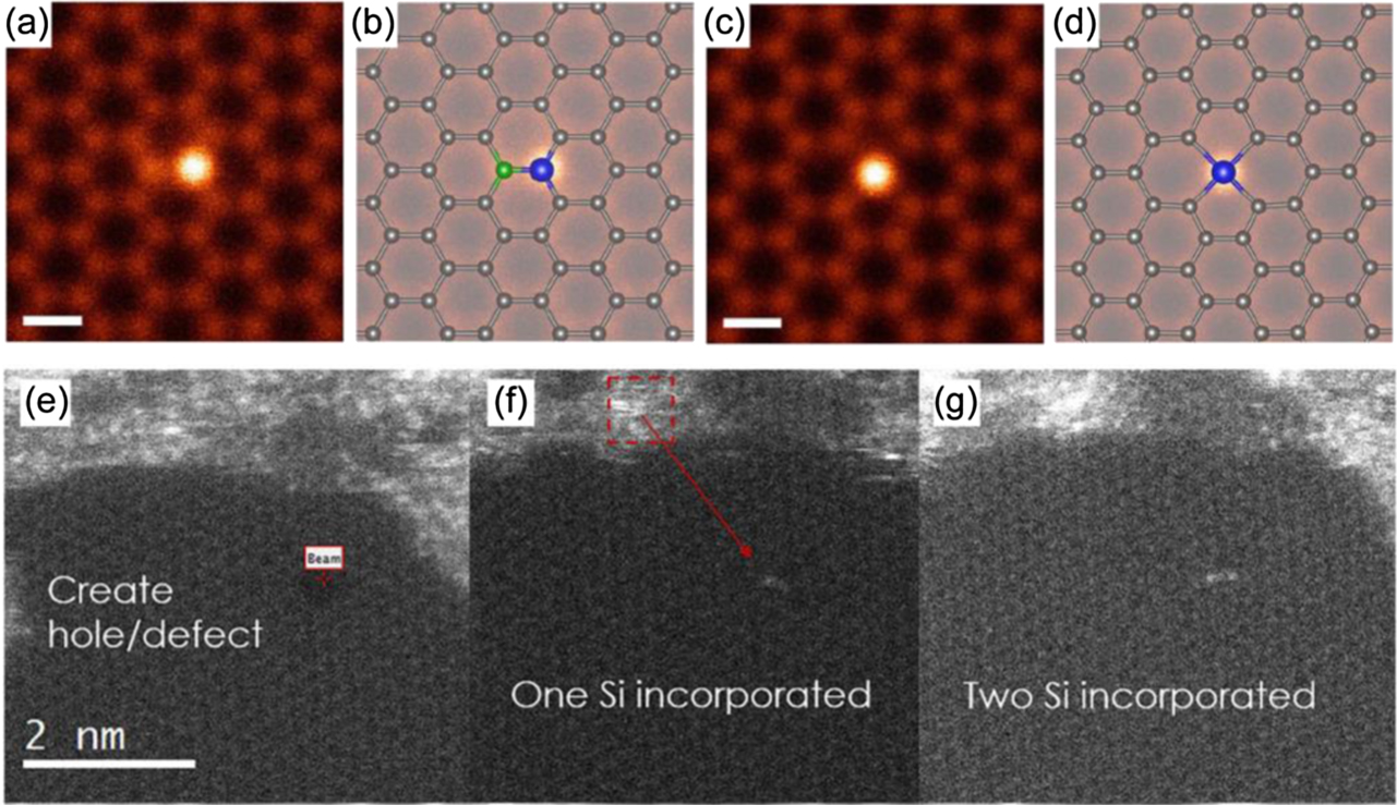 Electron beam triggered single-atom dynamics in two-dimensional ...