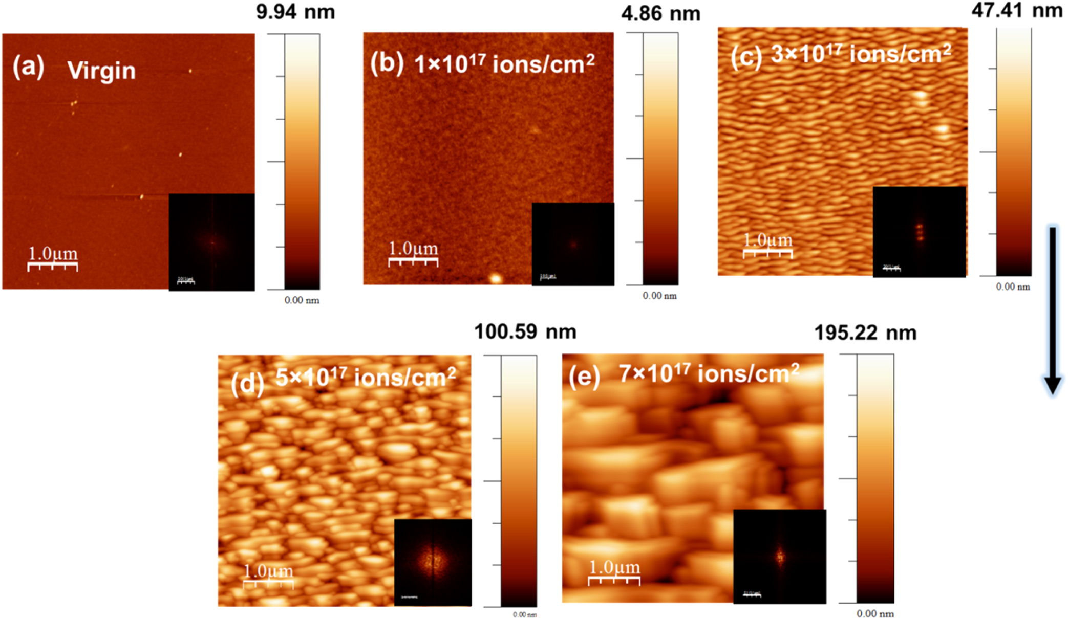 Spatially varying chemical phase formation on silicon nano ripple by ...