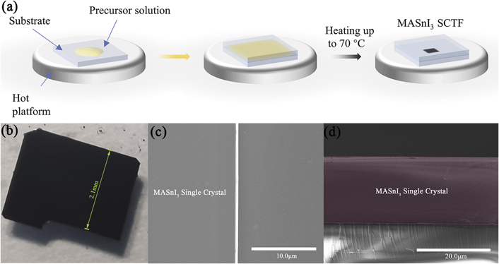 Growing MASnI3 perovskite single-crystal films by inverse temperature ...