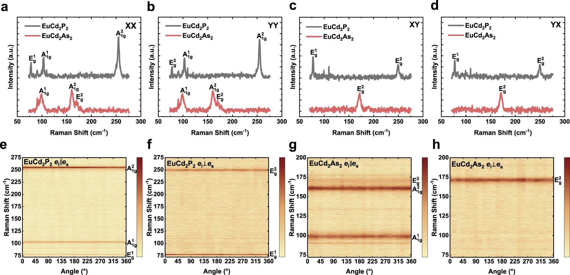 Comparative Raman spectroscopy of magnetic topological material EuCd2X2 ...