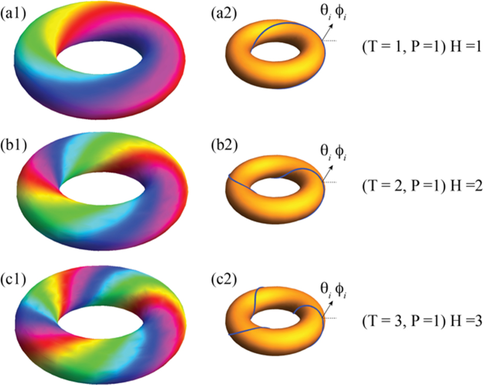 Hopfion dynamics in chiral magnets - IOPscience