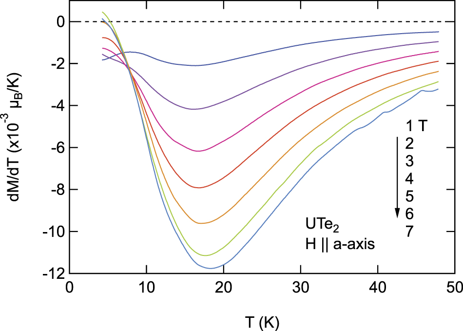 Unconventional superconductivity in UTe2 - IOPscience