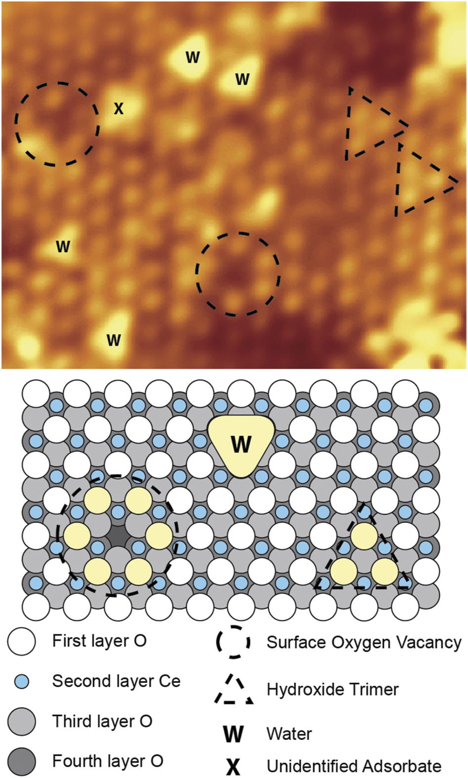 Structure and reactivity of model CeO2 surfaces - IOPscience