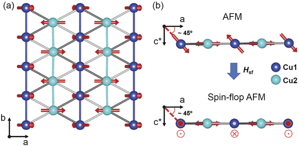 Angular dependence of spin-flop transition in triangular lattice ...