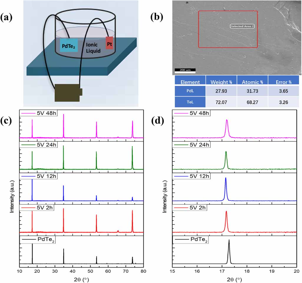 Protonation enhanced superconductivity in PdTe2 - IOPscience