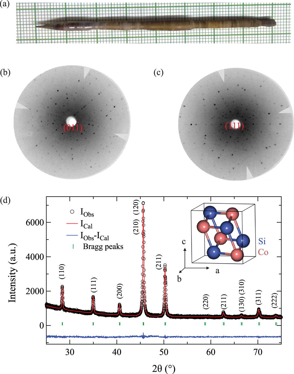 Shubnikov-de Haas and de Haas-van Alphen oscillations in Czochralski grown CoSi single crystal ...