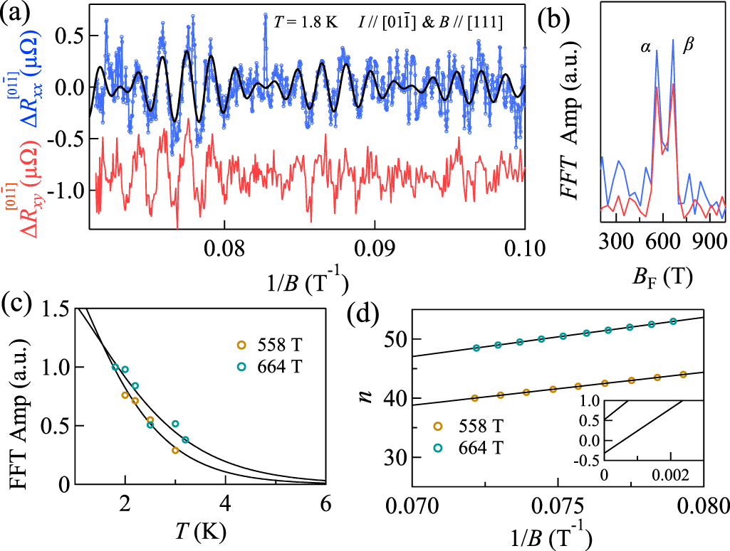 Shubnikov-de Haas and de Haas-van Alphen oscillations in Czochralski ...