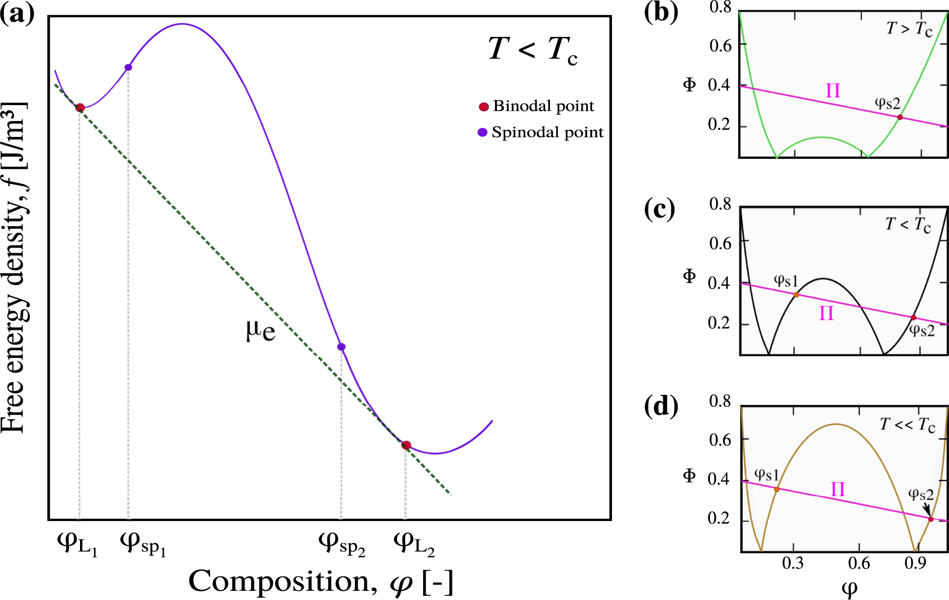Phase-field simulation for the formation of porous microstructures due ...