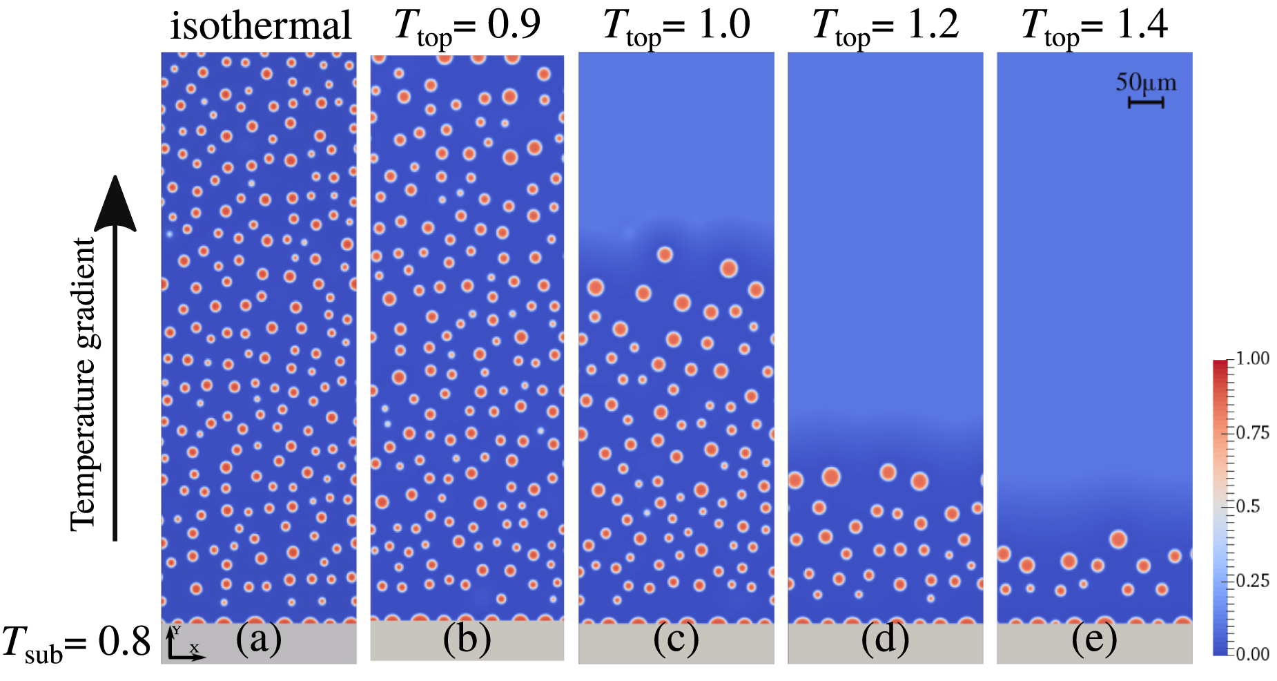 Phase-field simulation for the formation of porous microstructures due ...