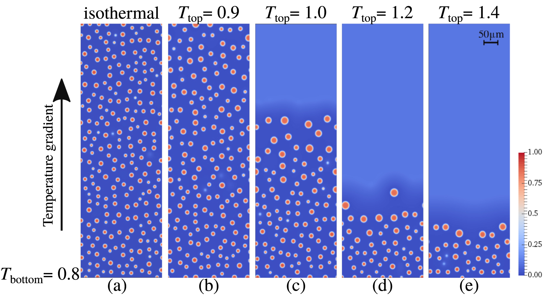 Phase-field simulation for the formation of porous microstructures due ...