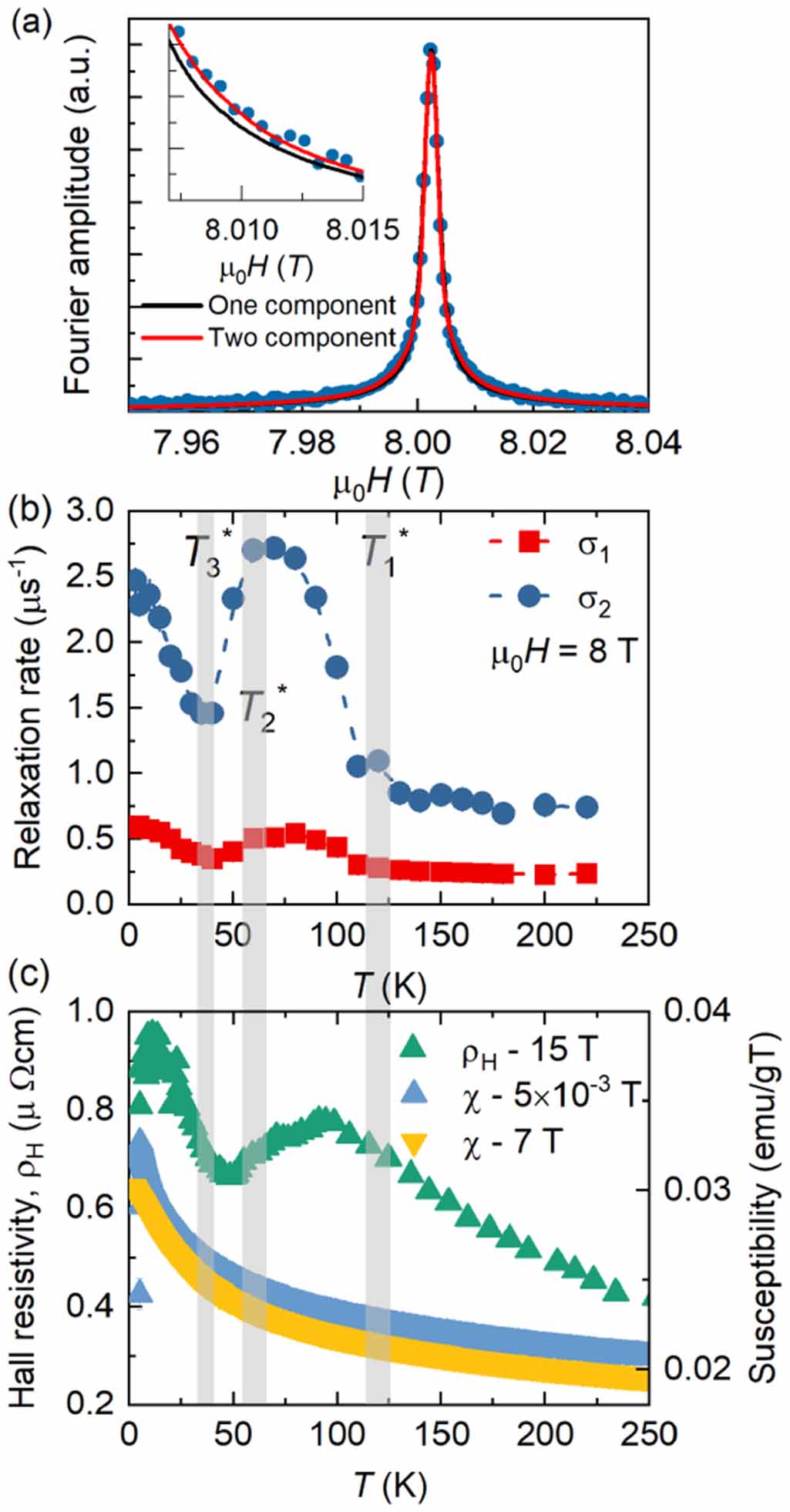 Local spectroscopic evidence for a nodeless magnetic kagome ...