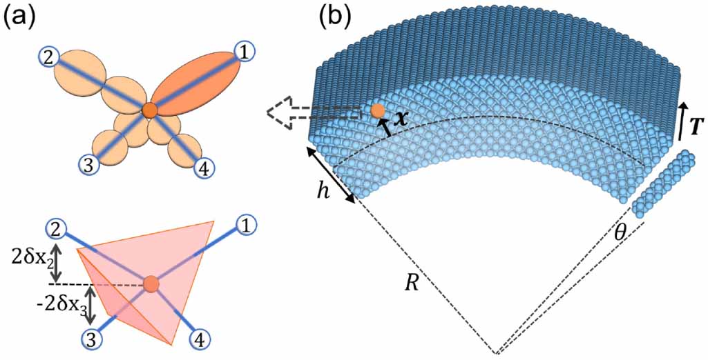 Polarization due to emergent polarity in elemental semiconductor ...