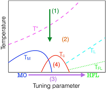 An emerging global picture of heavy fermion physics - IOPscience