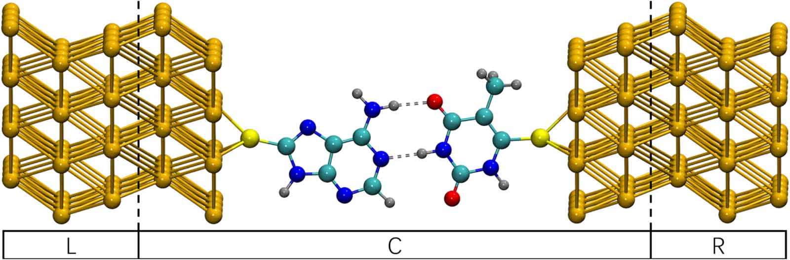 Transverse electronic transport properties of single DNA nucleobase ...
