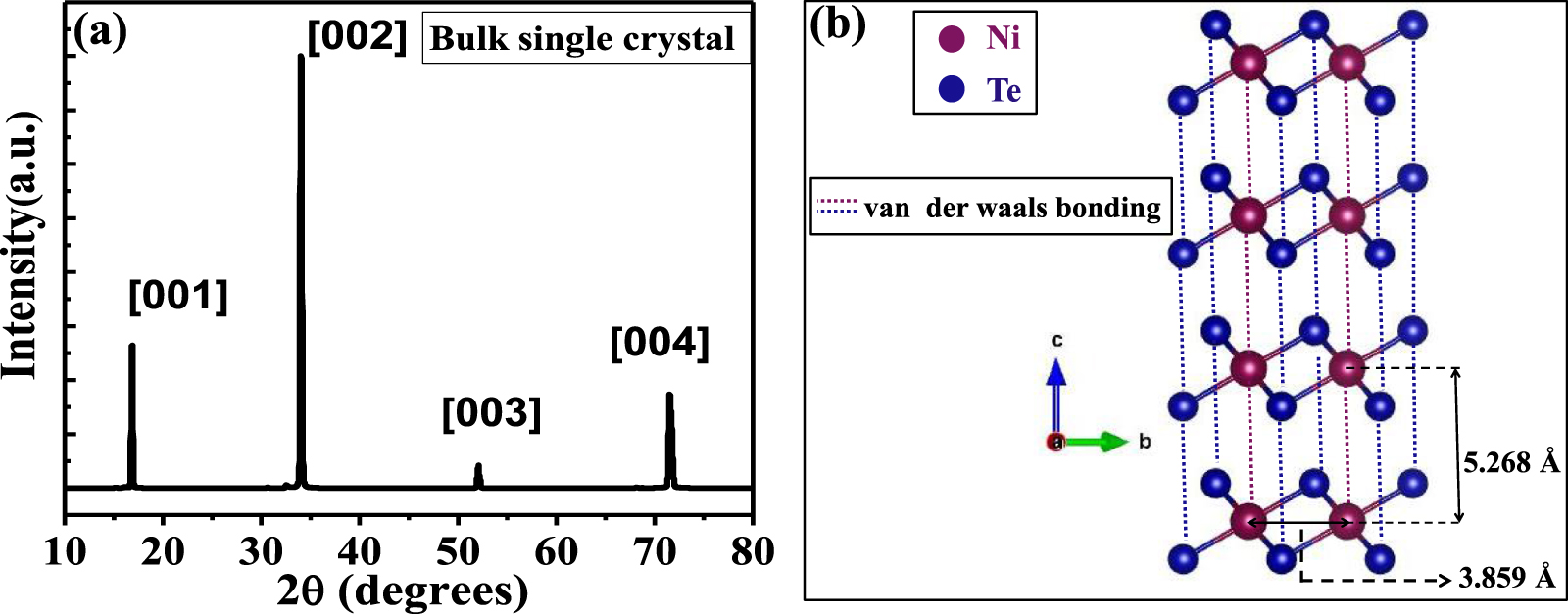 Probing electron-phonon and phonon-phonon coupling in type-II Dirac ...