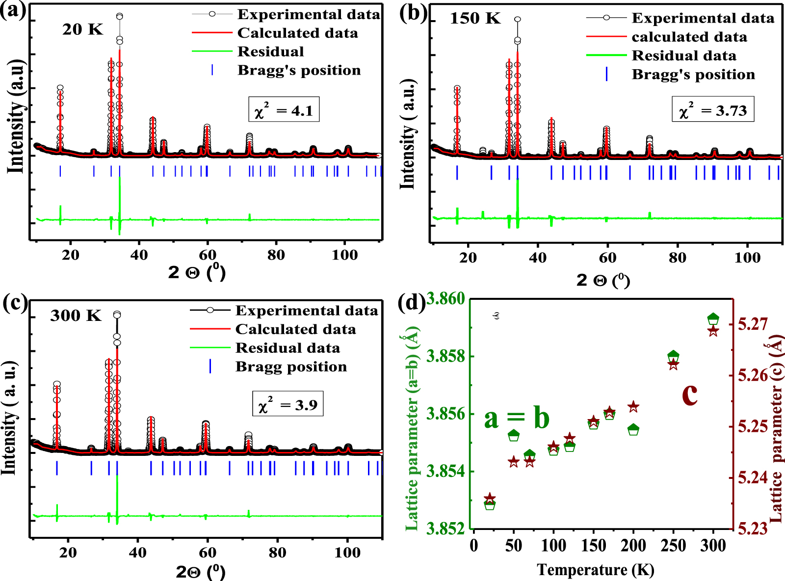 Probing electron-phonon and phonon-phonon coupling in type-II Dirac ...