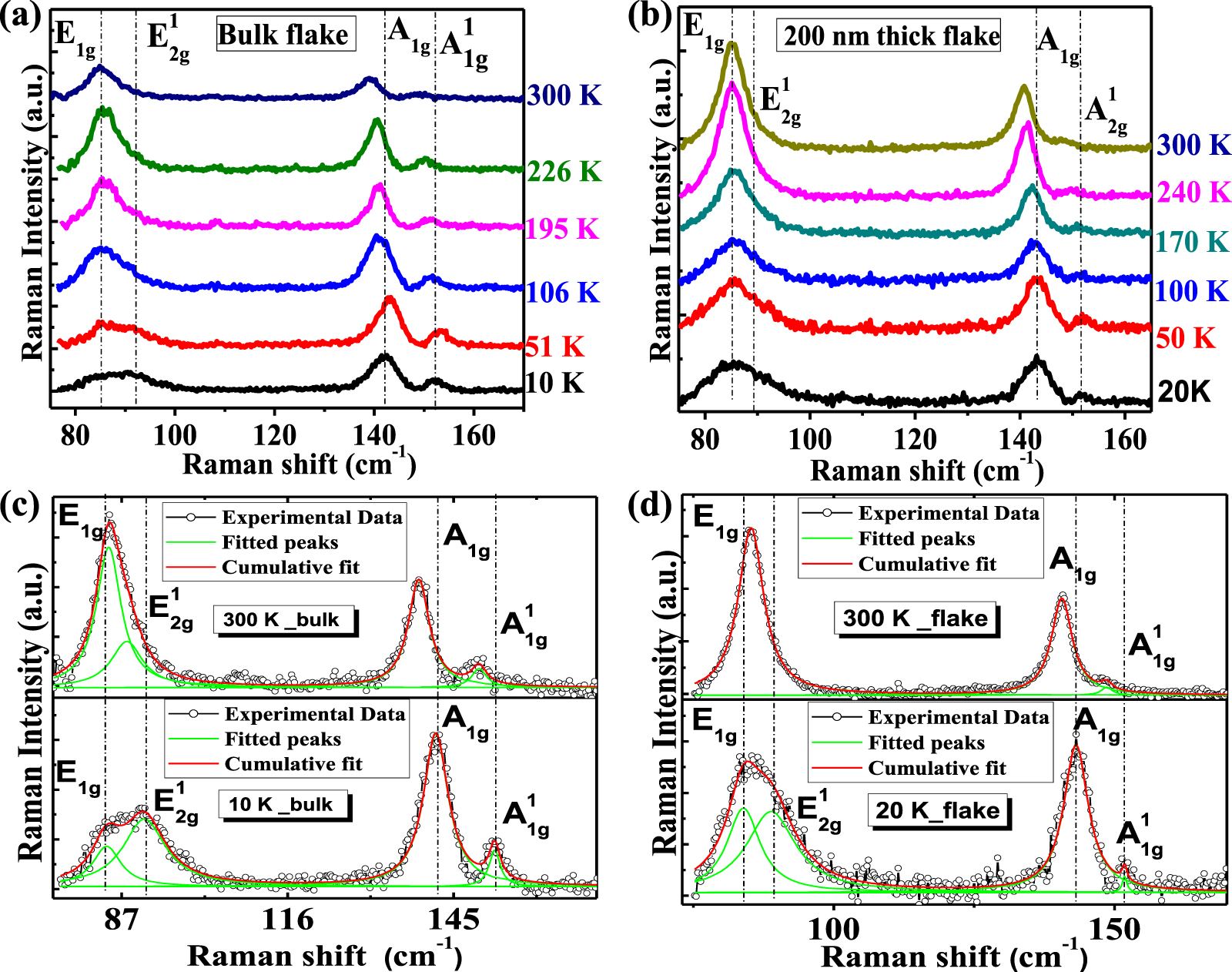 Probing electron-phonon and phonon-phonon coupling in type-II Dirac ...