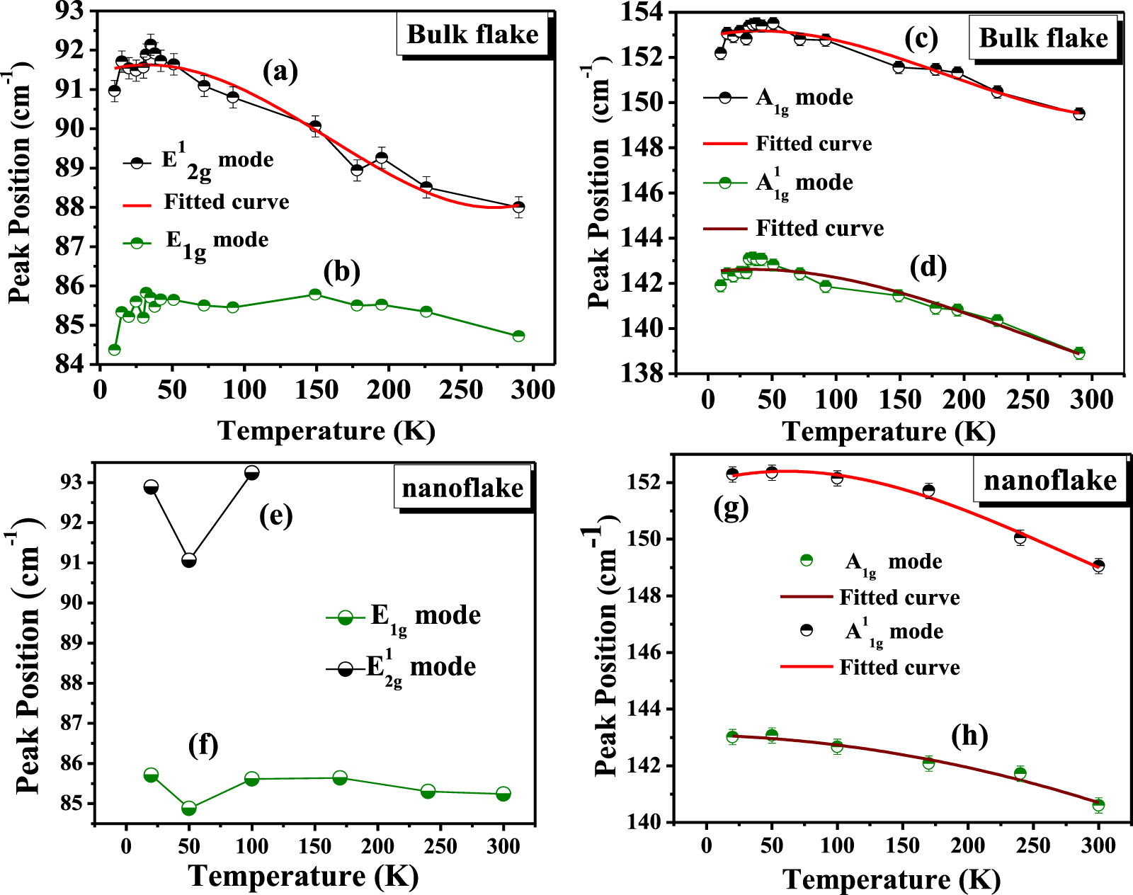 Probing electron-phonon and phonon-phonon coupling in type-II Dirac ...