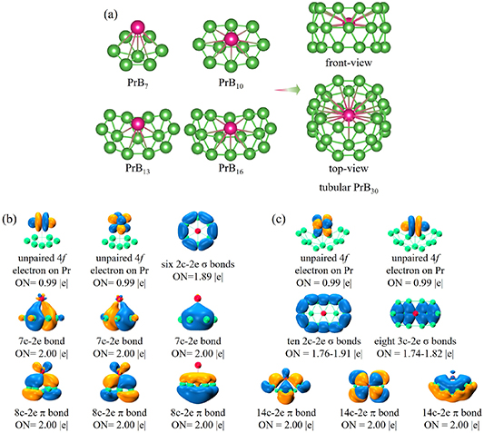 Geometric and electronic diversity of metal doped boron clusters ...