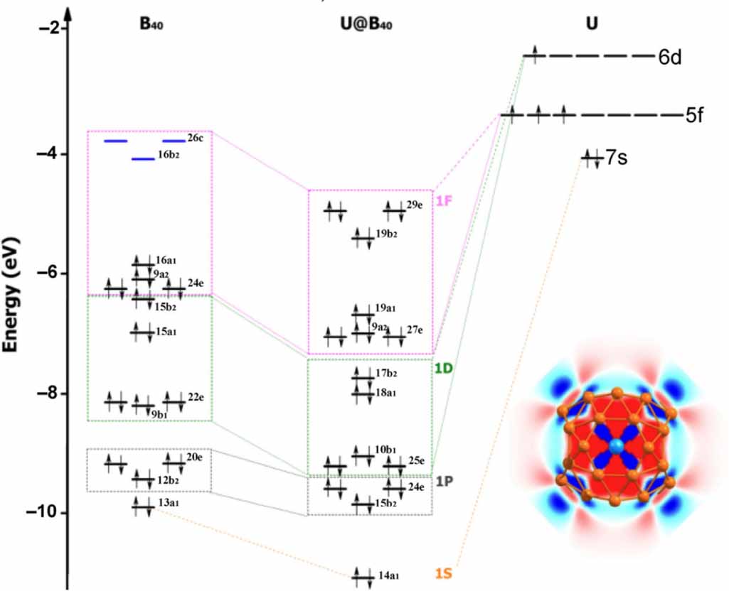 Geometric and electronic diversity of metal doped boron clusters ...