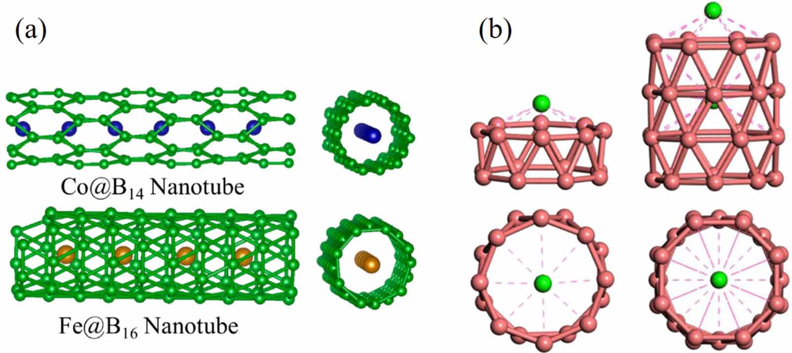 Geometric and electronic diversity of metal doped boron clusters ...