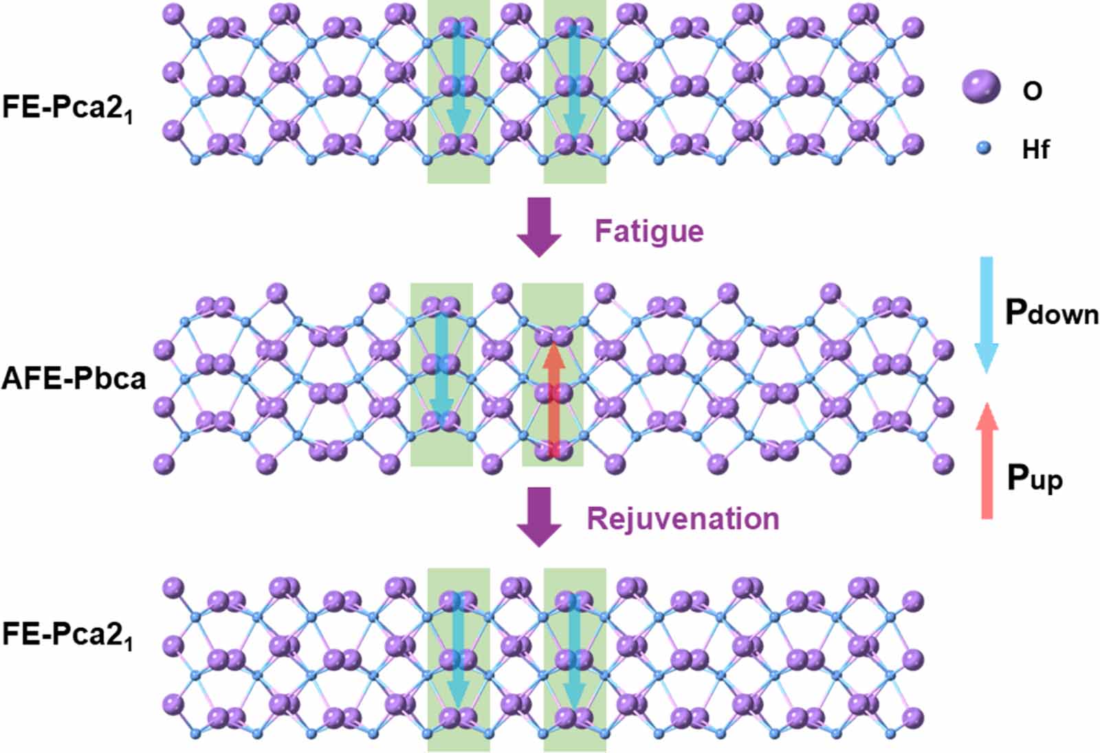 Reversible fatigue-rejuvenation procedure and its mechanism in Hf0.5Zr0.5O2 epitaxial films ...