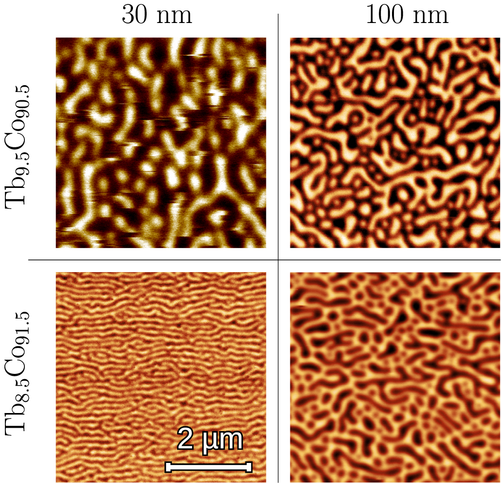 Competing interface and bulk anisotropies in Co-rich TbCo amorphous ...