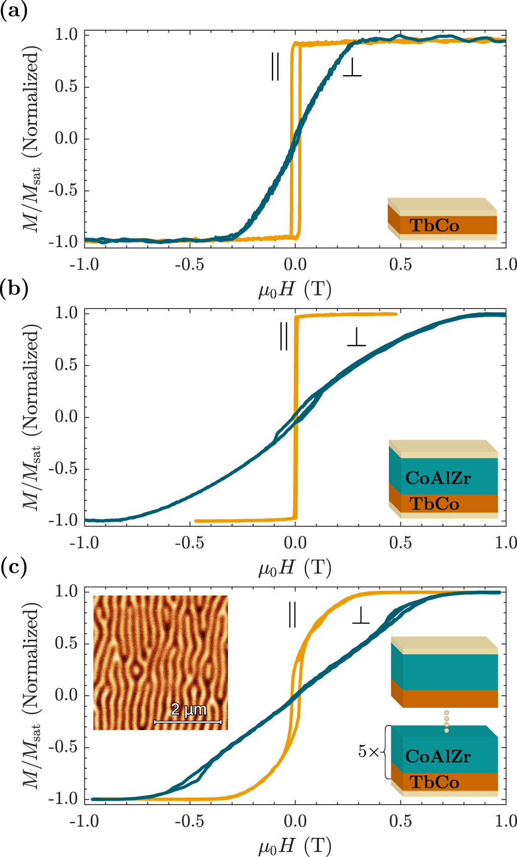 Competing interface and bulk anisotropies in Co-rich TbCo amorphous ...
