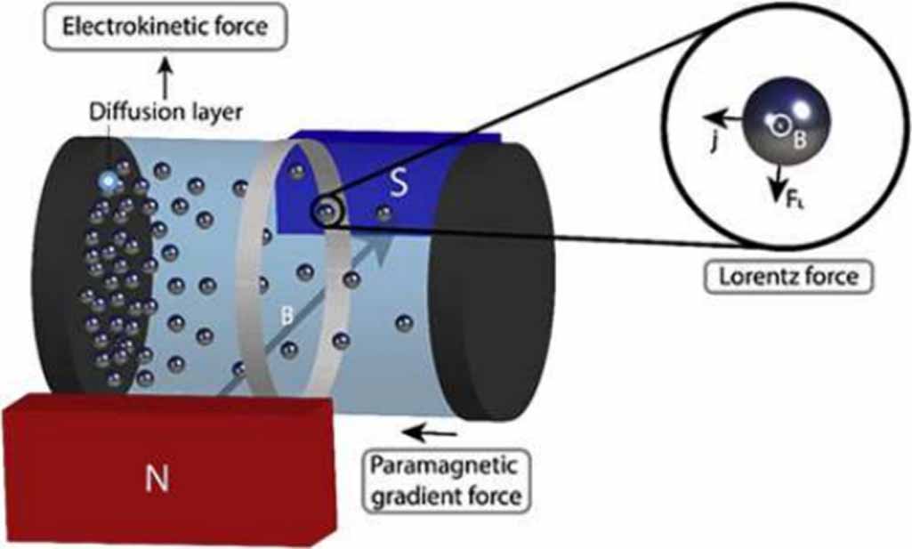 Challenges for fluoride superionic conductors: fundamentals, design ...